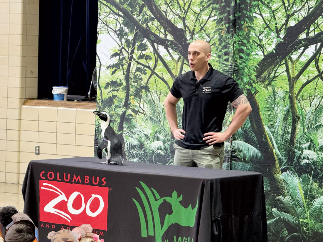 Rank and Phylum: Columbus Zoo ambassadors wow Marietta students with ...